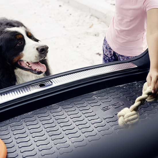 Protection Pack Vehicle Specific Front & Rear Rubber Mats and Load Lin ...